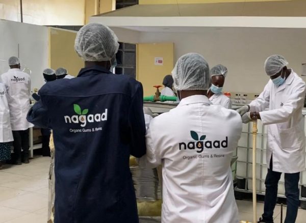 About Nagaad - Nagaad Gums